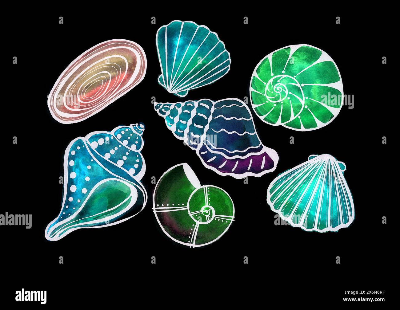 Set of different types of seashells and shells isolated on black ...