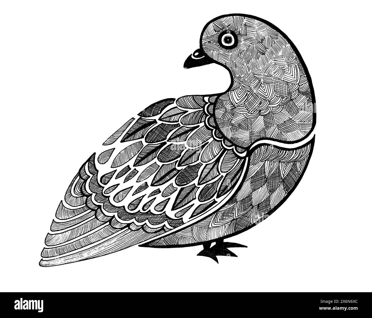 Illustration of pigeon bird isolated on white background. Stylized ...