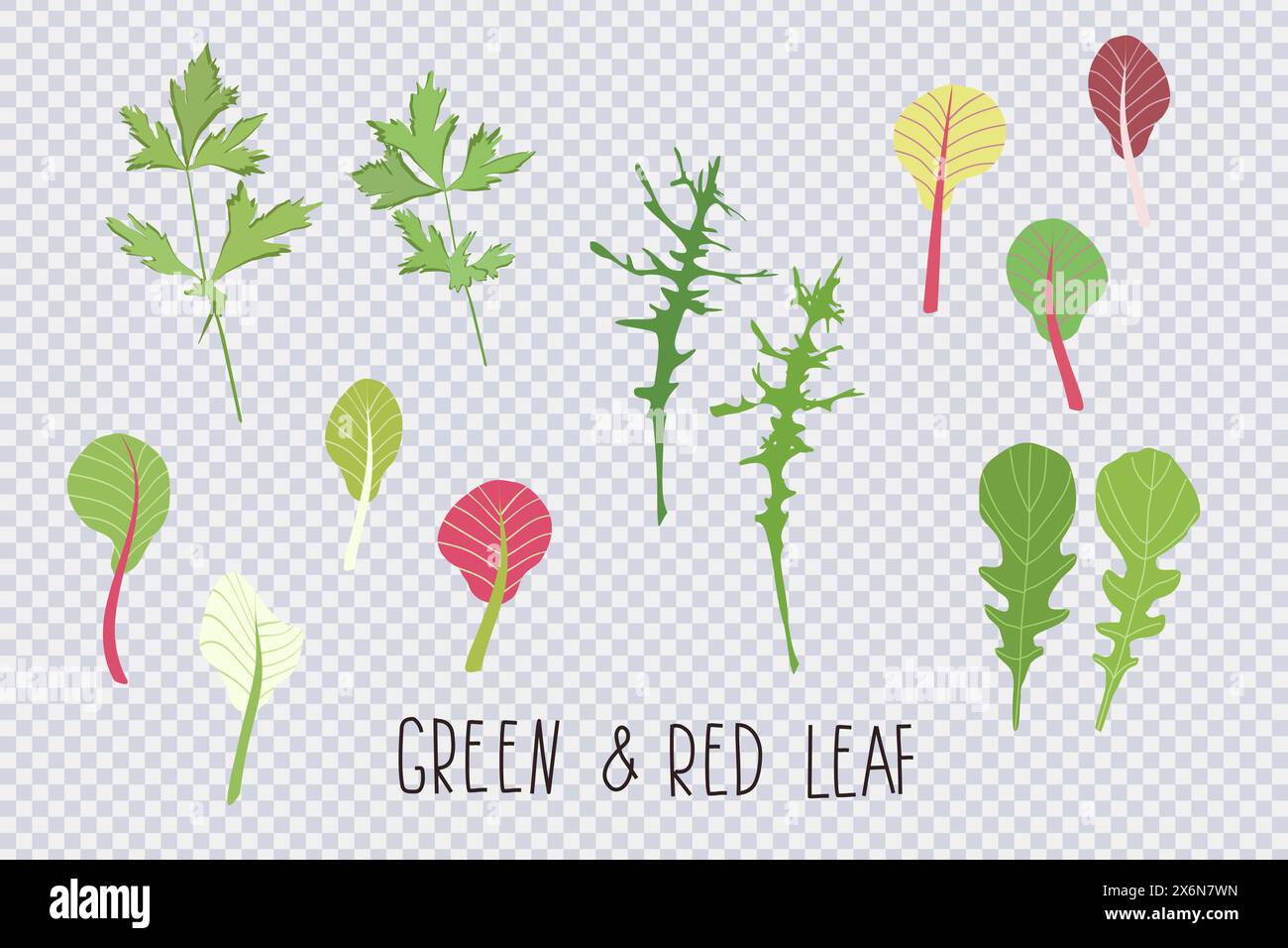 Mix of salad leaves. Cartoon set of green red raw leaves isolated on ...