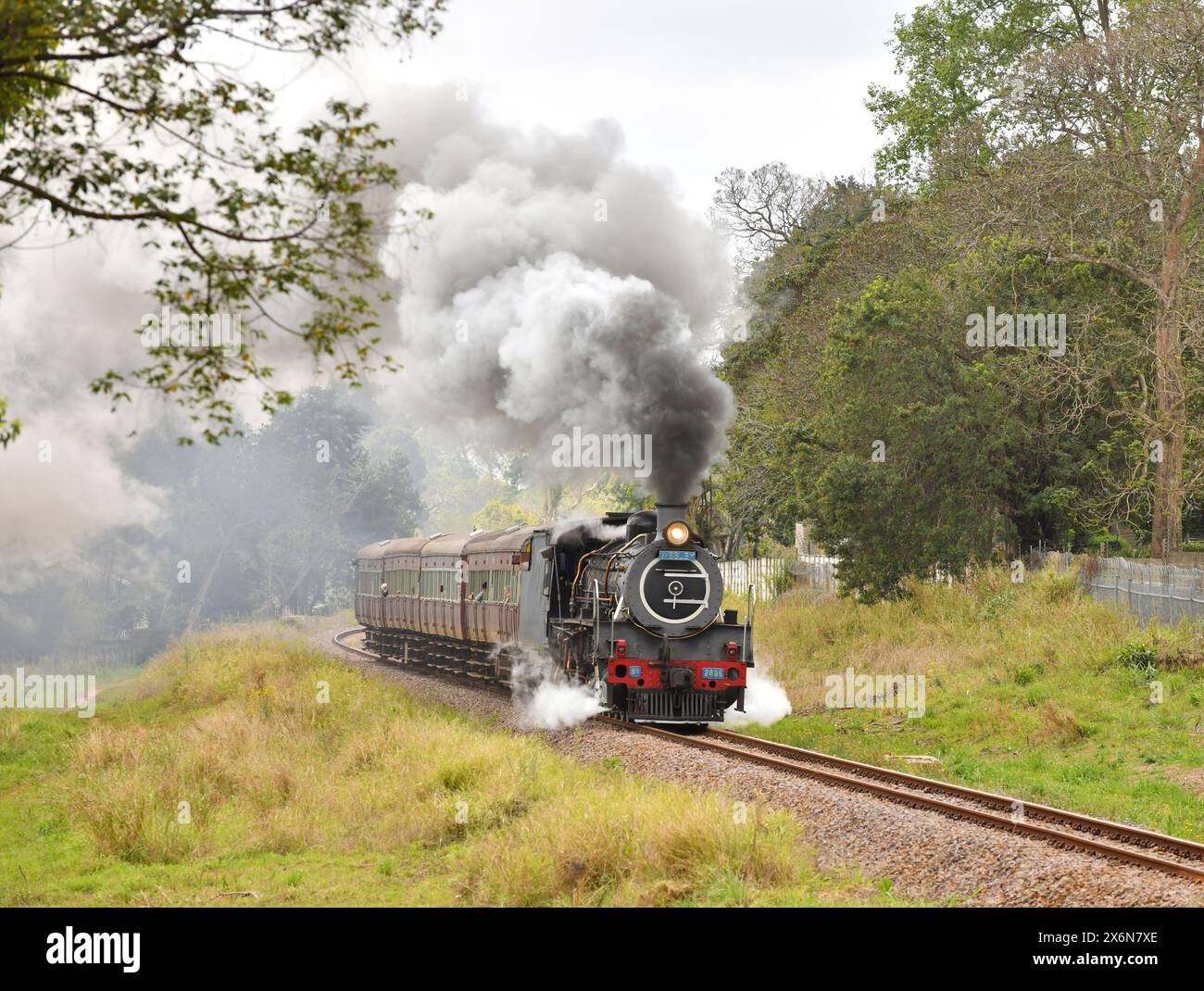 Steam locomotive, Class 19D 2685 with passenger coaches, Kloof, KwaZulu ...