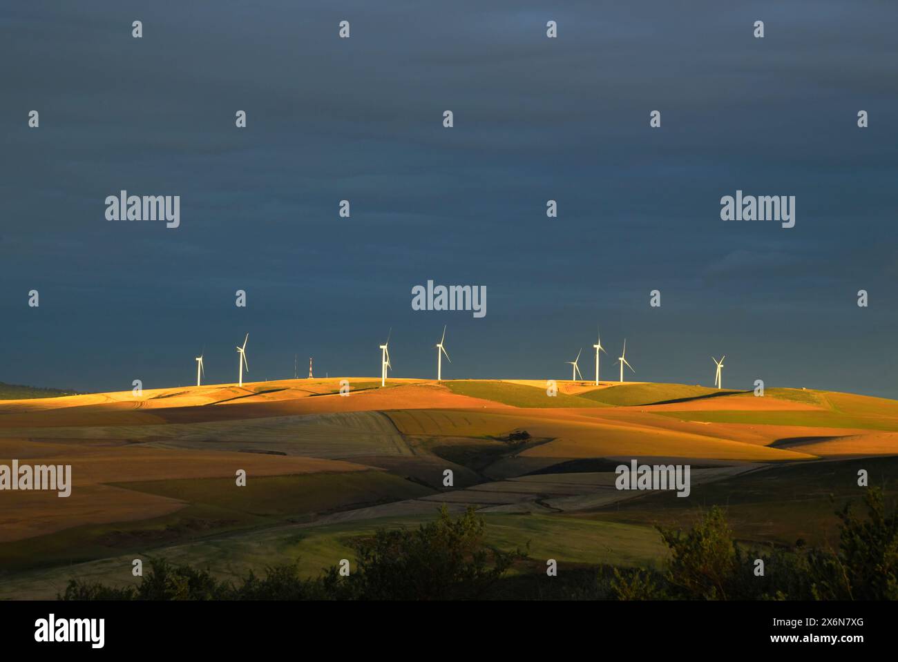 Wind farm, National road N2 near Caledon, Overberg, South Africa Stock ...