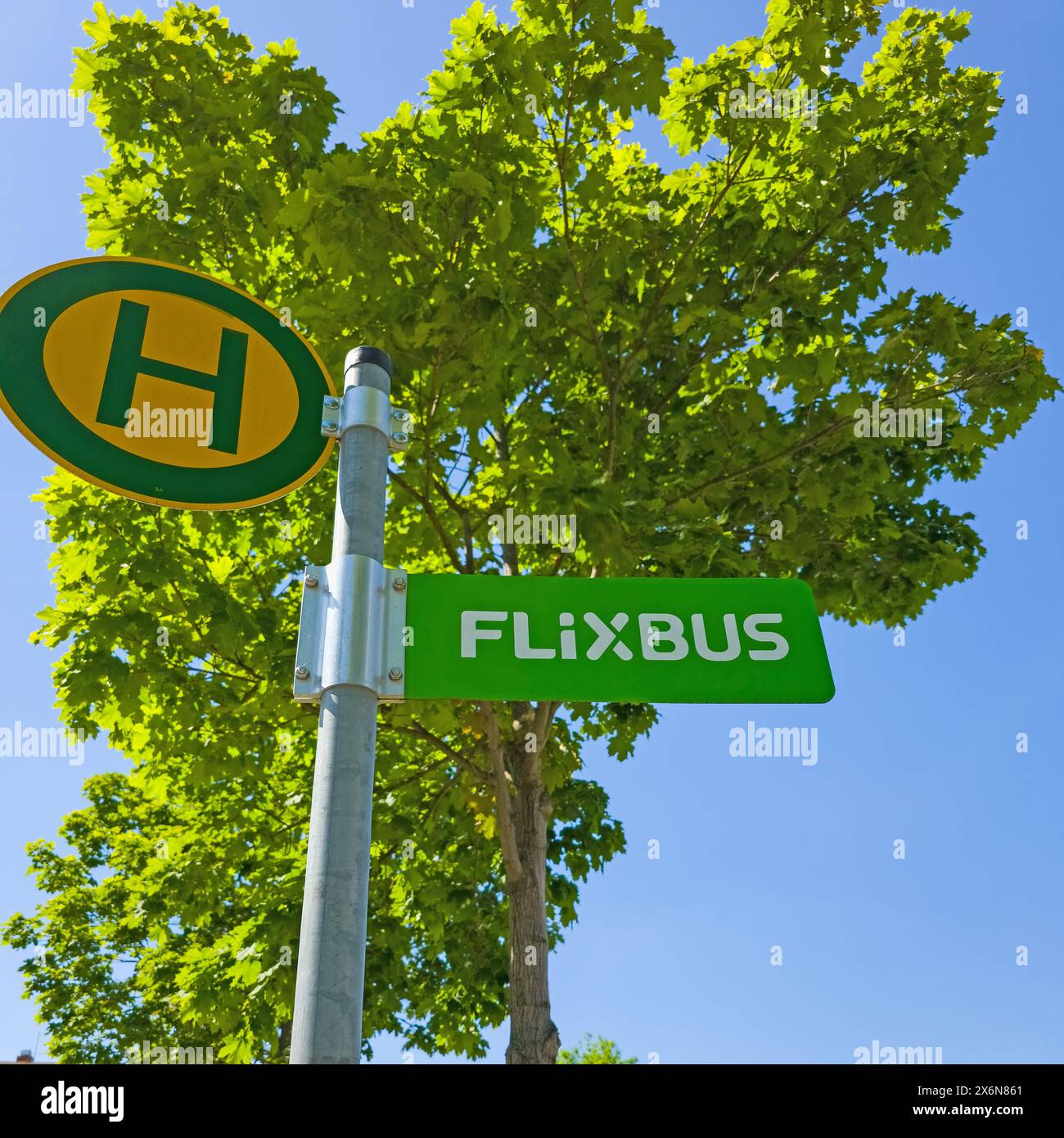 Flixbus, stop sign in a close-up Stock Photo - Alamy