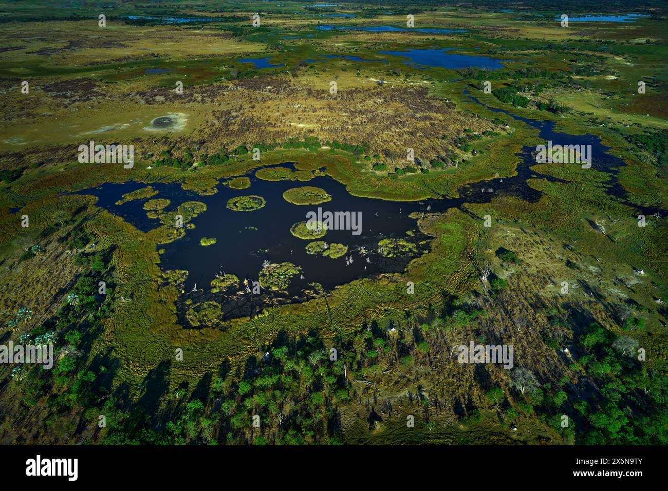 Aerial landscape in Okavango delta, Botswana. Lakes and rivers, view ...