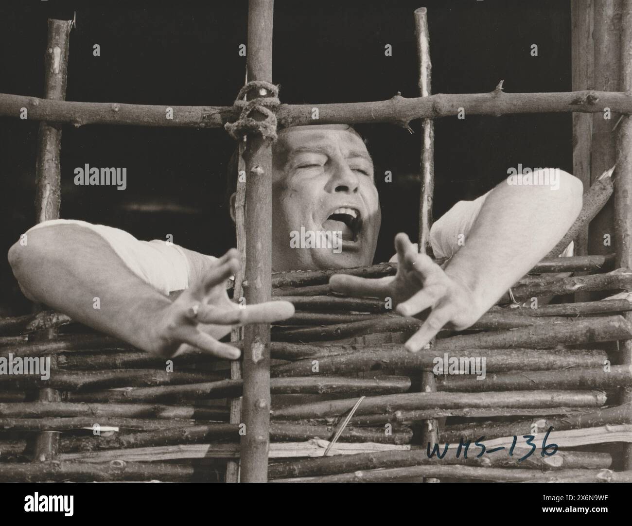 Britt ekland wicker man hi-res stock photography and images - Alamy