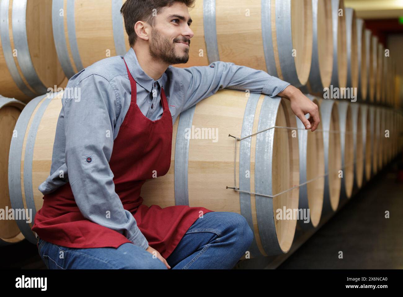 professional worker of winery posing with wine barrels in cellar Stock ...