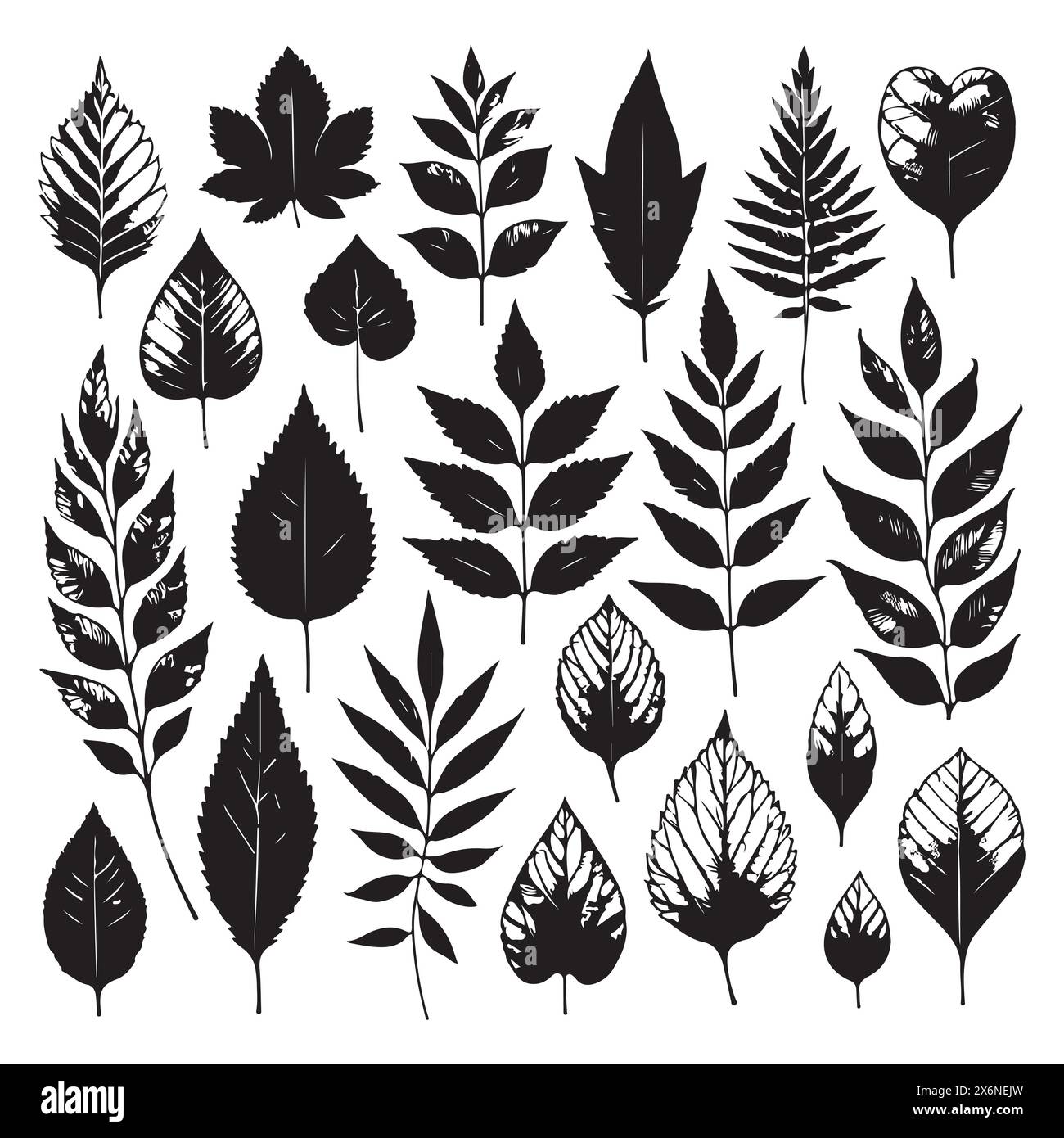 Silhouettes set of black Leaf Inked. Vector isolated illustration Stock ...