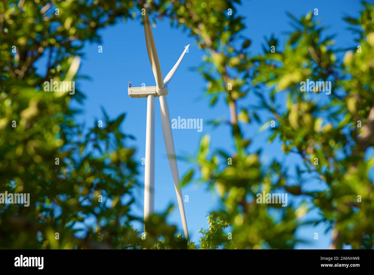 Wind turbine generator for clean electrical energy production and ...