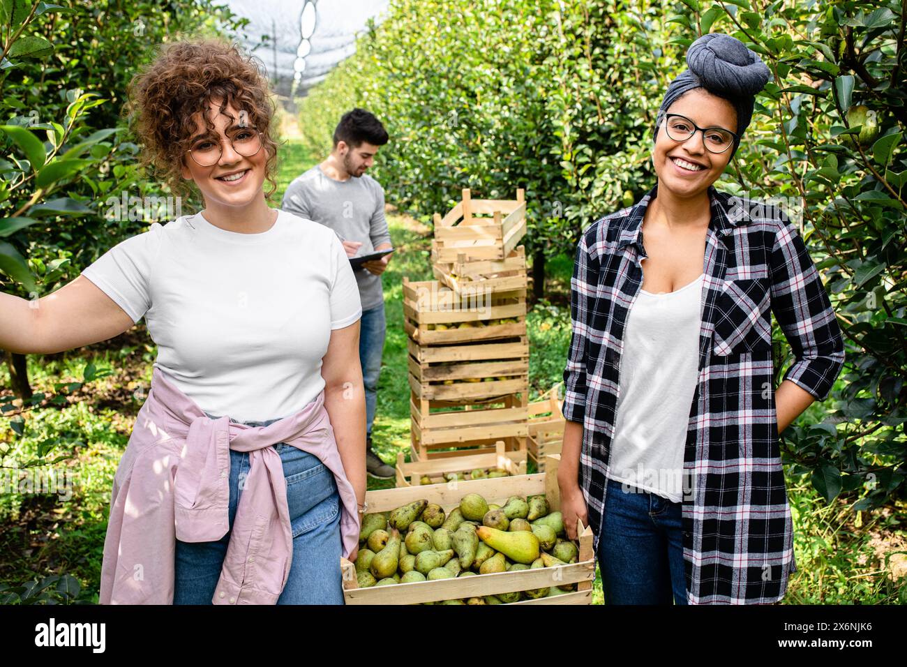 Portrait of three young farmers in pears orchard Stock Photo - Alamy