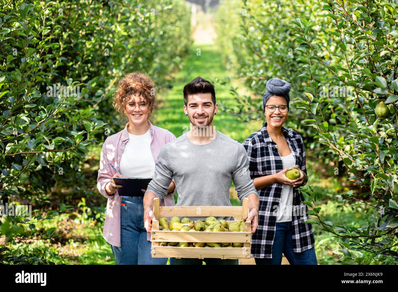 Portrait of three young farmers in pears orchard Stock Photo - Alamy