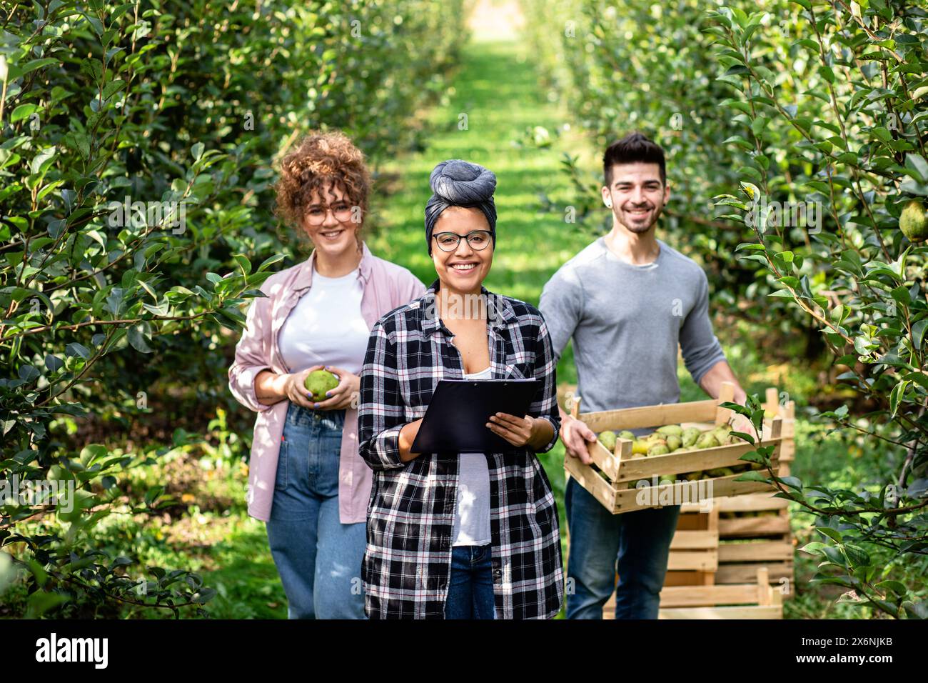 Portrait of three young farmers in pears orchard Stock Photo - Alamy