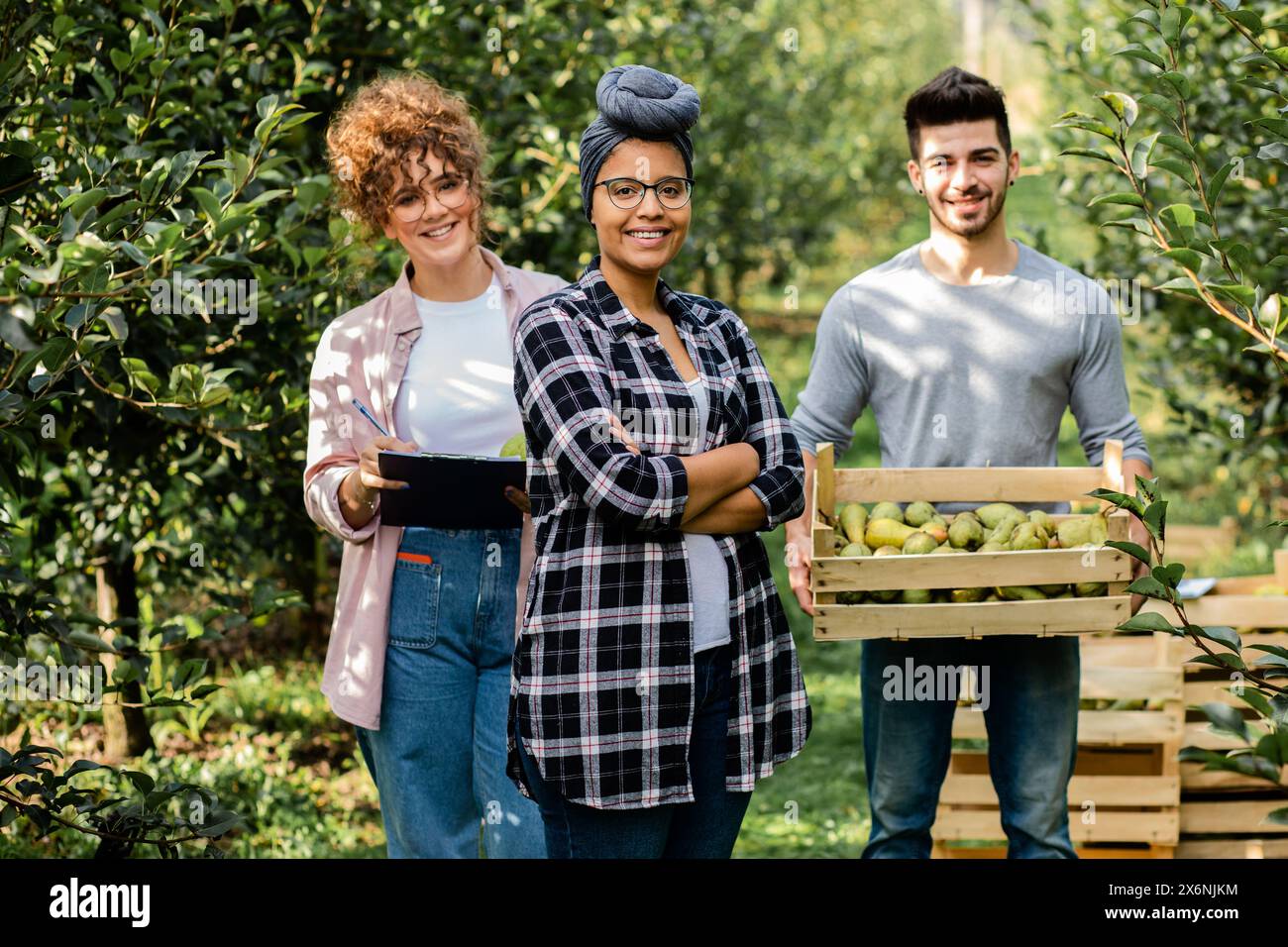 Portrait of three young farmers in pears orchard Stock Photo - Alamy