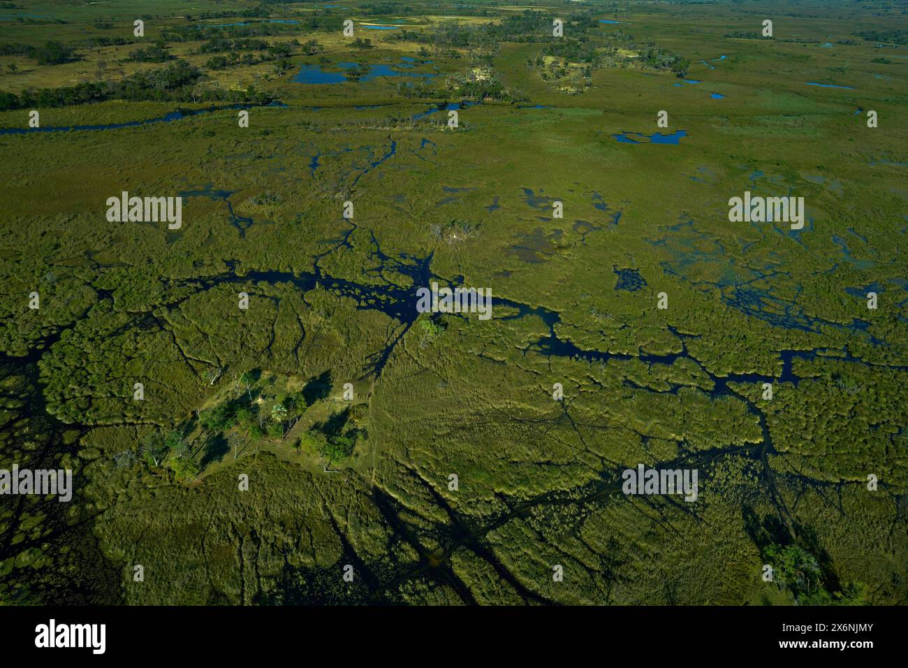 Africa Aerial Landscape Green River Okavango Delta In Botswana Lakes And Rivers View From