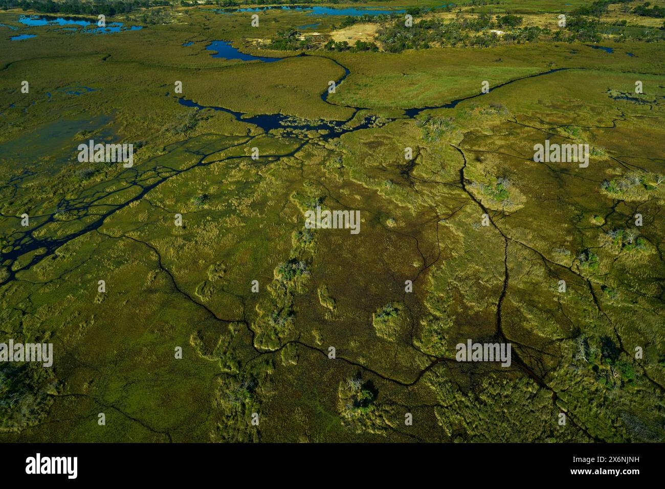 Africa aerial landscape, green river, Okavango delta in Botswana. Lakes ...
