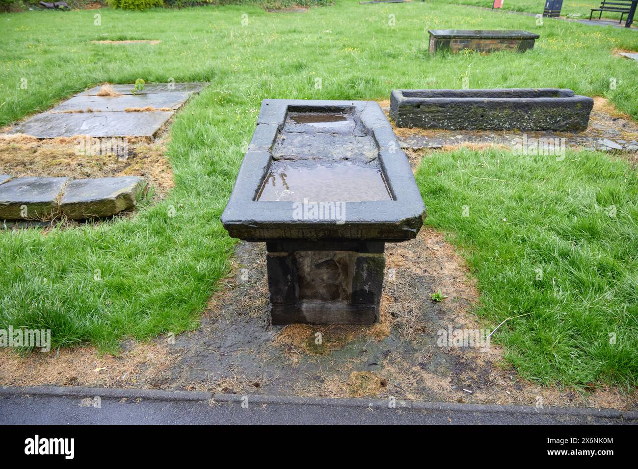 “Molly Leigh, Molly Leigh, Chase me around the apple tree” Molly Leigh ...