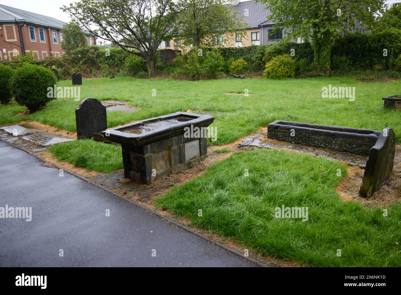 “Molly Leigh, Molly Leigh, Chase me around the apple tree” Molly Leigh ...