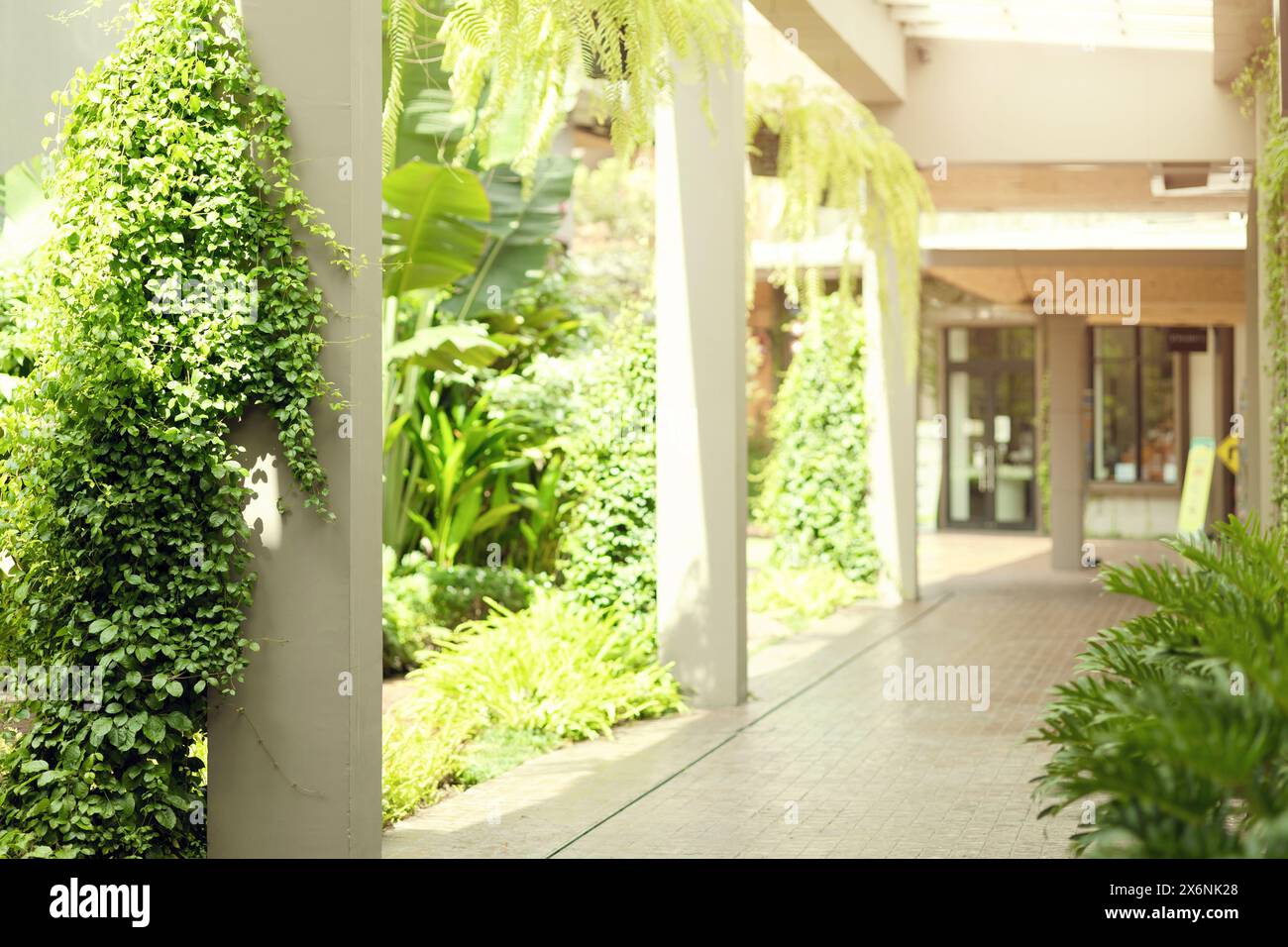 green building public walk way interior with fresh nature green plant ...