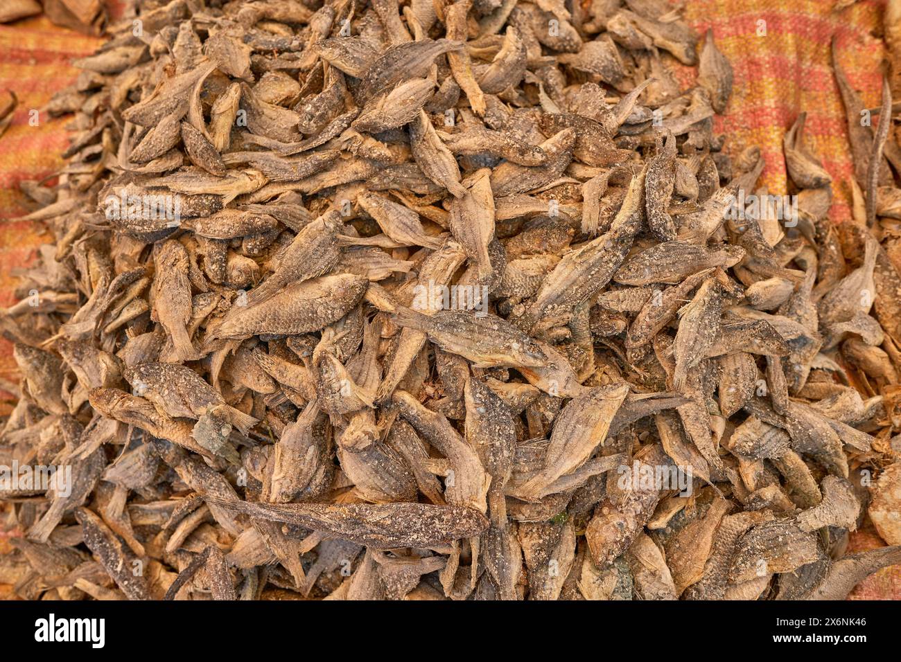 Madagascar fish market, travel in Africa. Close-up detail on river ...