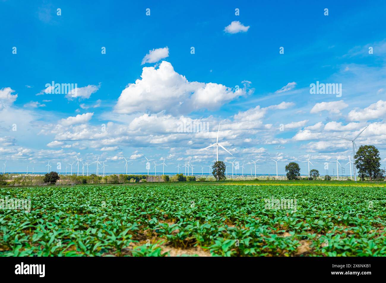 green eco industry environmental friendly concept, agriculture plant ...