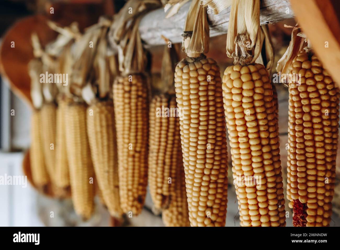 Corncob building hi-res stock photography and images - Alamy