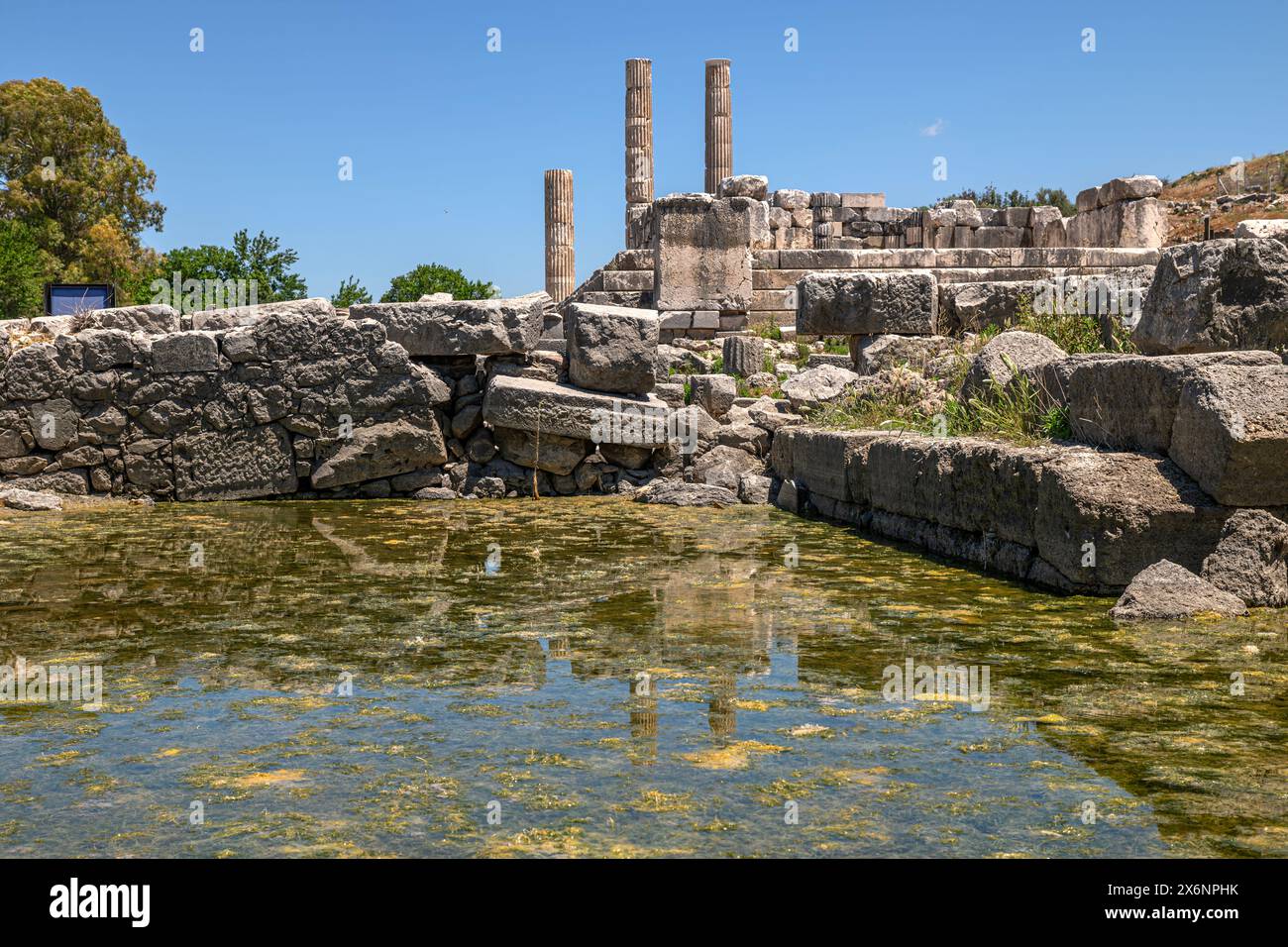 Pregnant by Zeus, Goddess Leto gives birth to her twin children Artemis ...