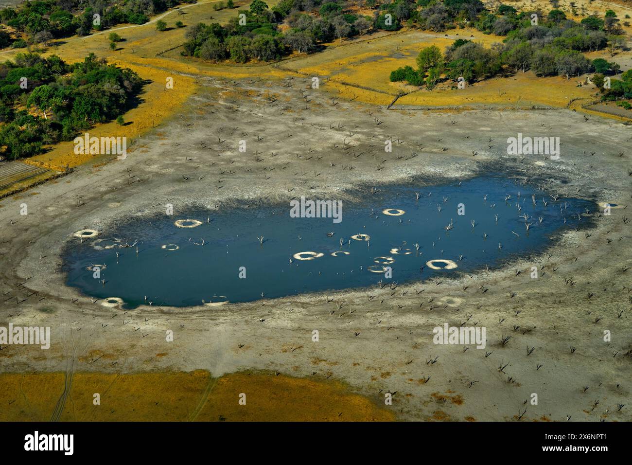 Africa aerial landscape, green river, Okavango delta in Botswana. Lakes ...