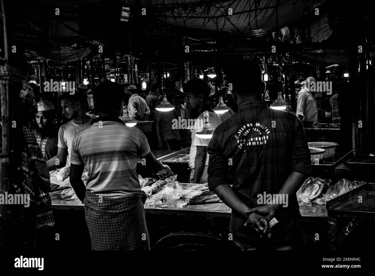 Crowded fish Black and White Stock Photos & Images - Alamy
