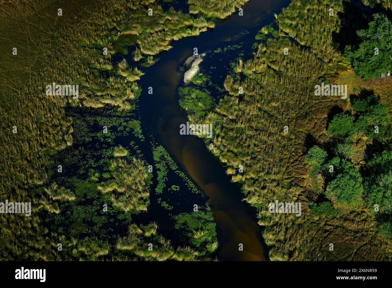 Africa aerial landscape, green river, Okavango delta in Botswana. Lakes ...