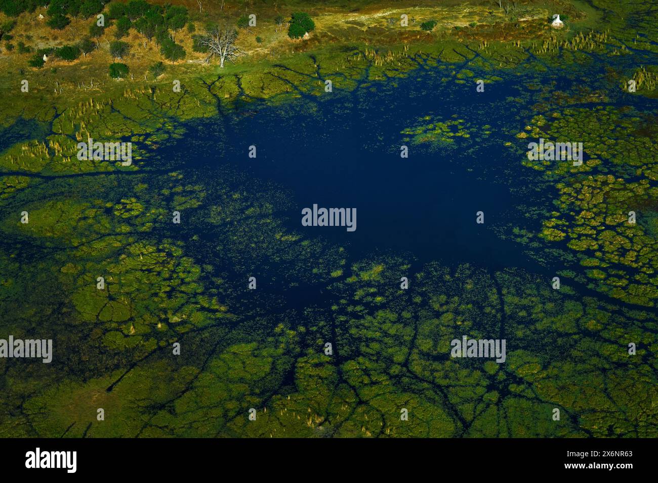 Africa aerial landscape, green river, Okavango delta in Botswana. Lakes ...