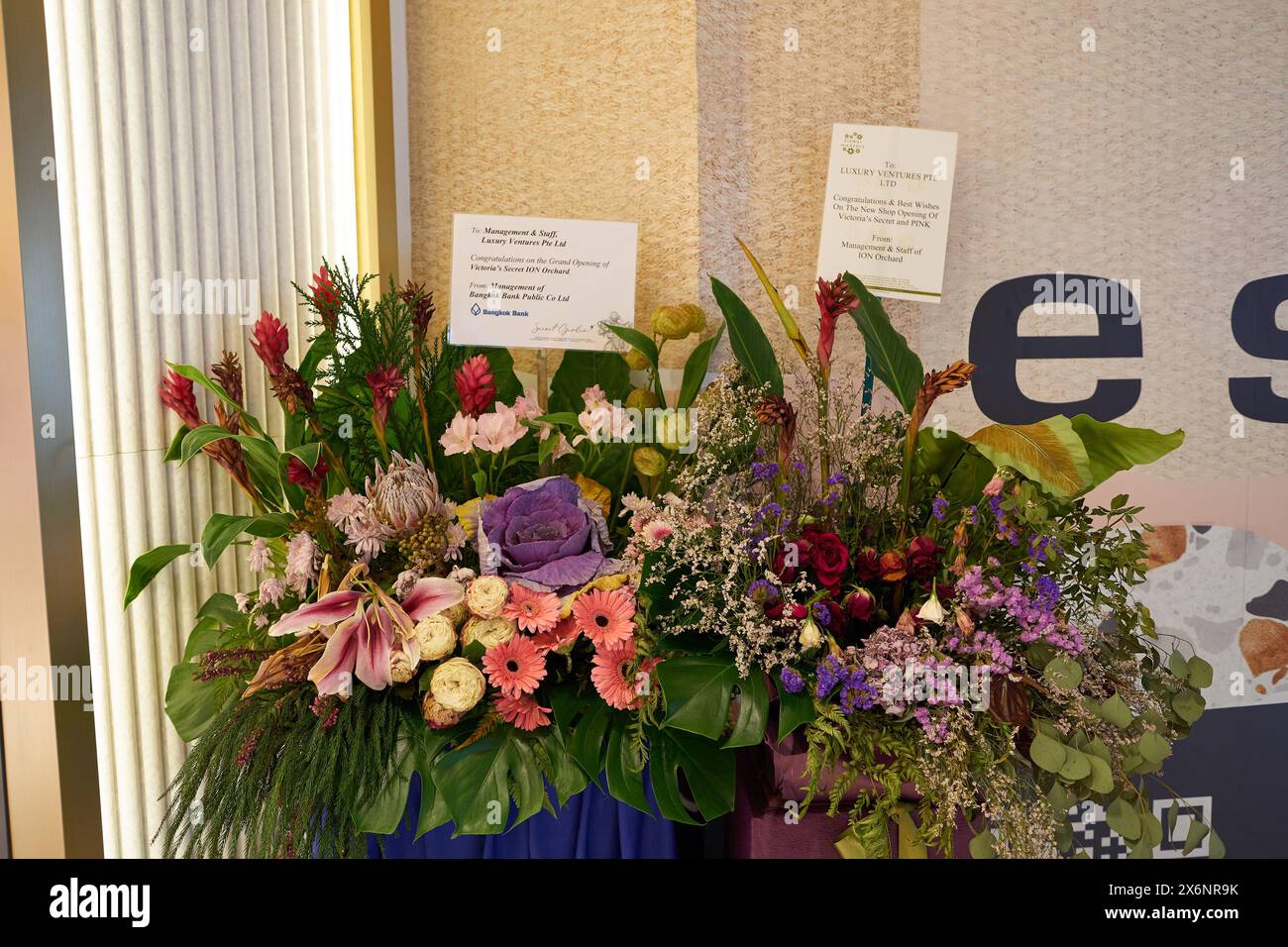 SINGAPORE - NOVEMBER 06, 2023: congratulation cards with opening ...