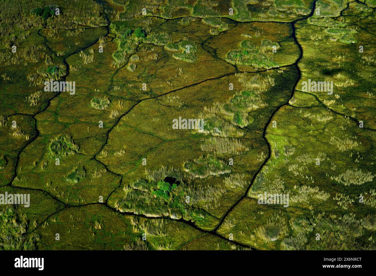 Africa aerial landscape, green river, Okavango delta in Botswana. Lakes ...