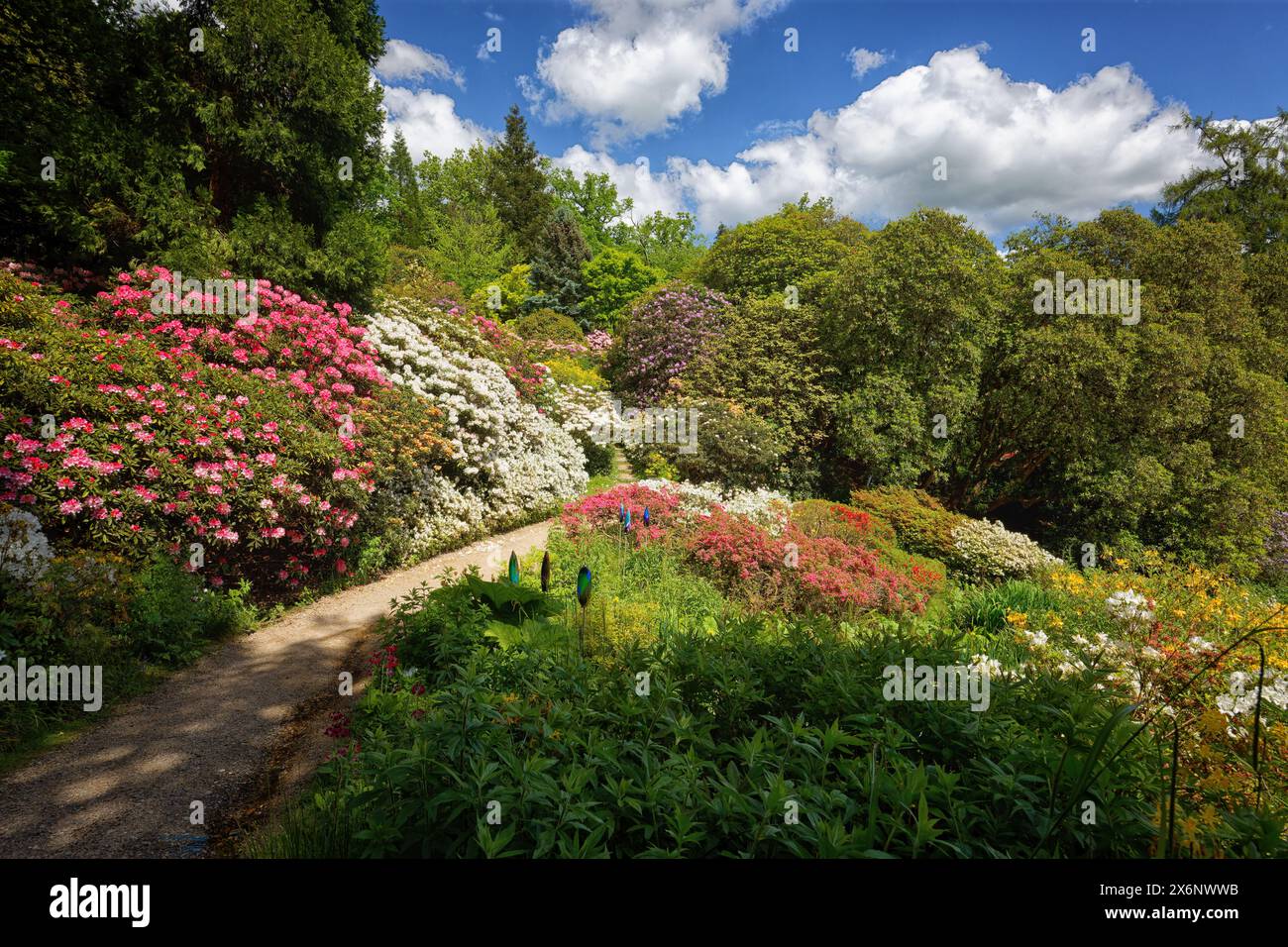 Leonardslee Lakes and Gardens Horsham Sussex UK Stock Photo - Alamy