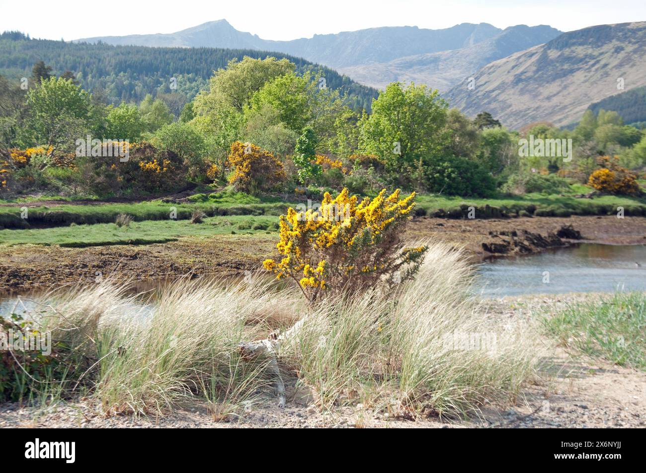 Beautiful scenery near Brodick Golf Course, Brodick, Isle of Arran ...