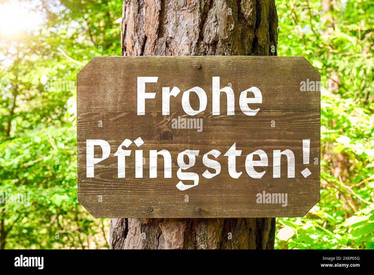 16 May 2024: Happy Pentecost Text, greeting on a wooden sign on a tree ...