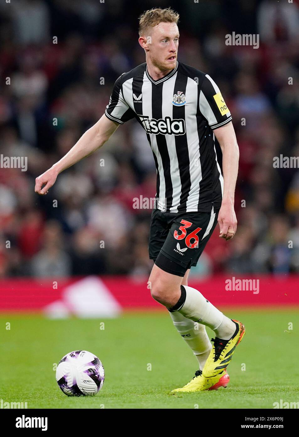 Sean longstaff 2024 hi-res stock photography and images - Alamy