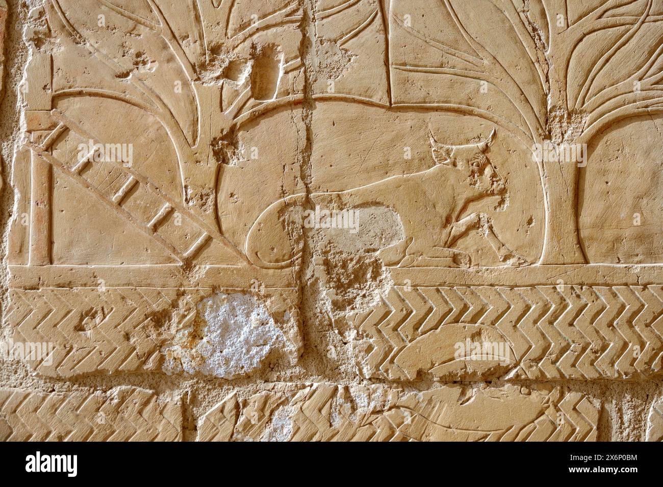 Punt reliefs at theTemple of Hatshepsut at Deir el Bahari, West Bank ...