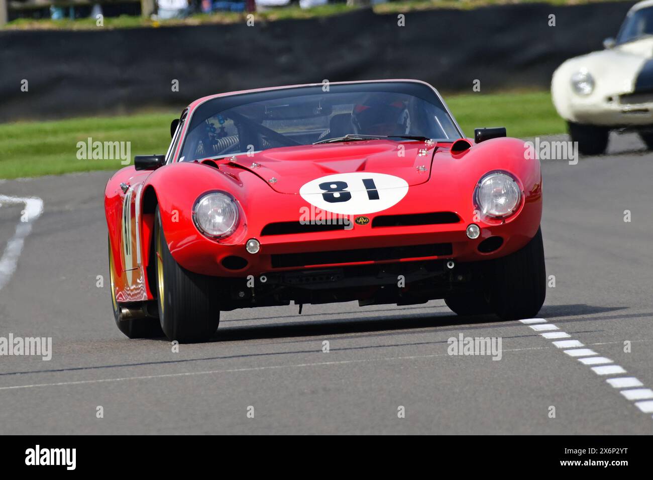 Adrian Willmott, Bizzarrini 5300GT, Graham Hill Trophy, a single driver ...