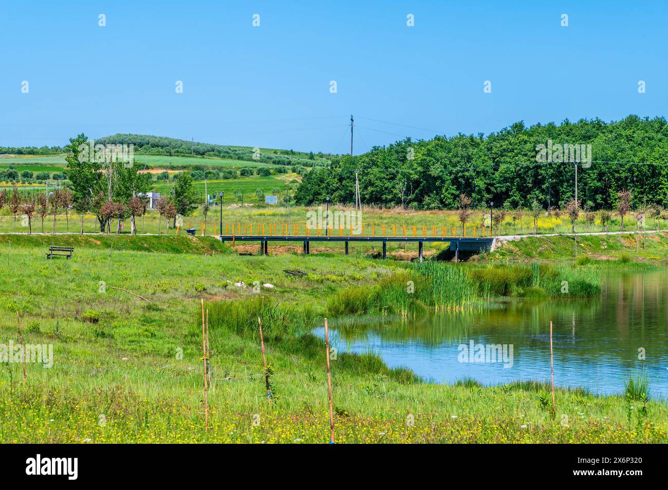 A view across a lake towards a wooden footbridge at Belsh lakes in ...