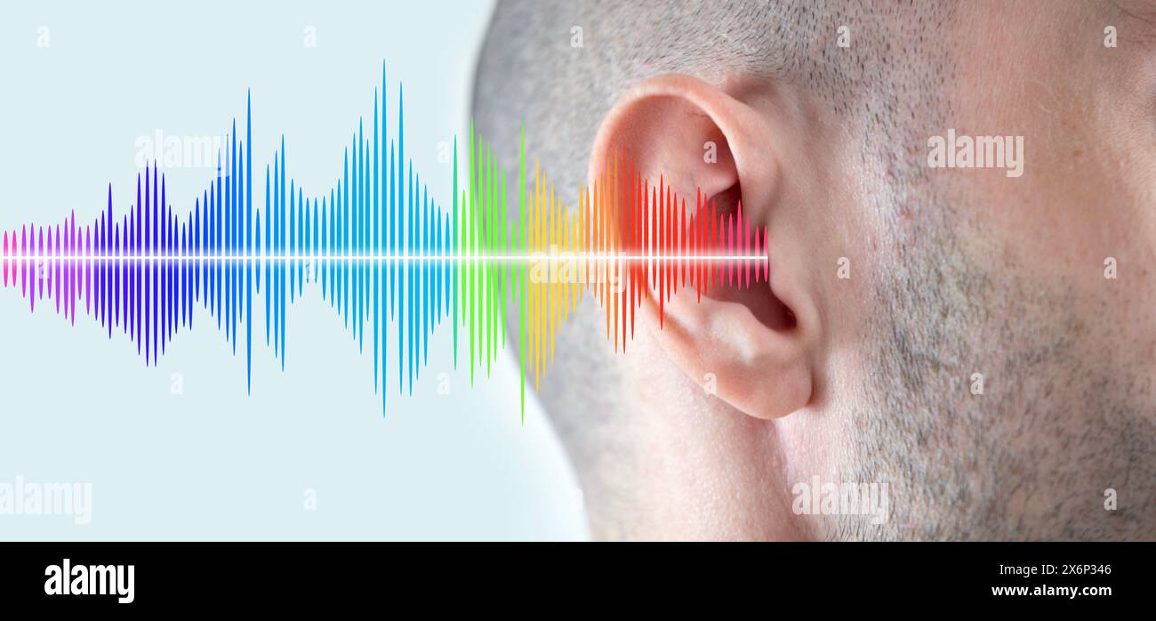 young man ear closeup listening, sound wave, acoustics Auditory System ...