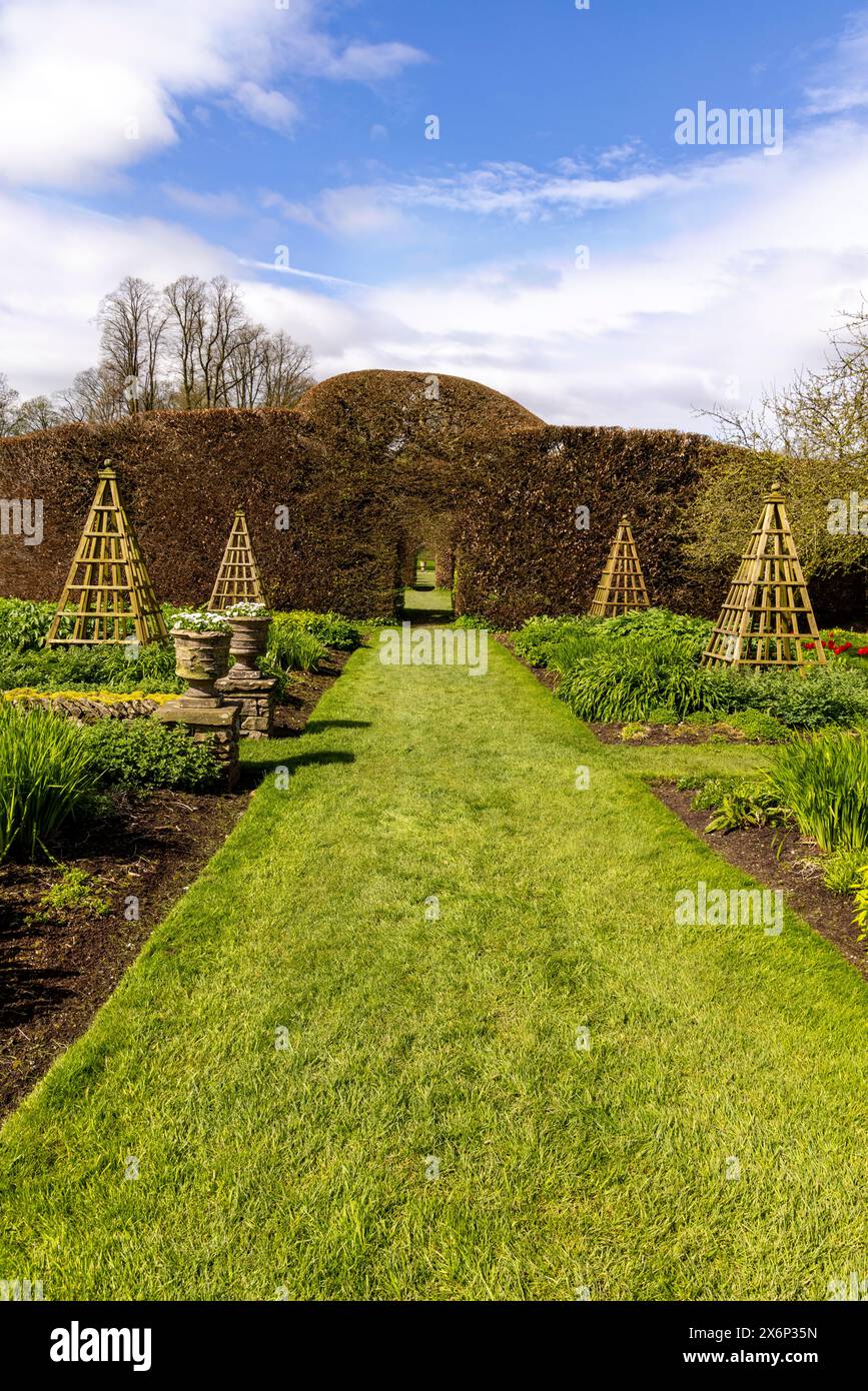 Vista through an opening in a hedge in the gardens of Levens Hall ...