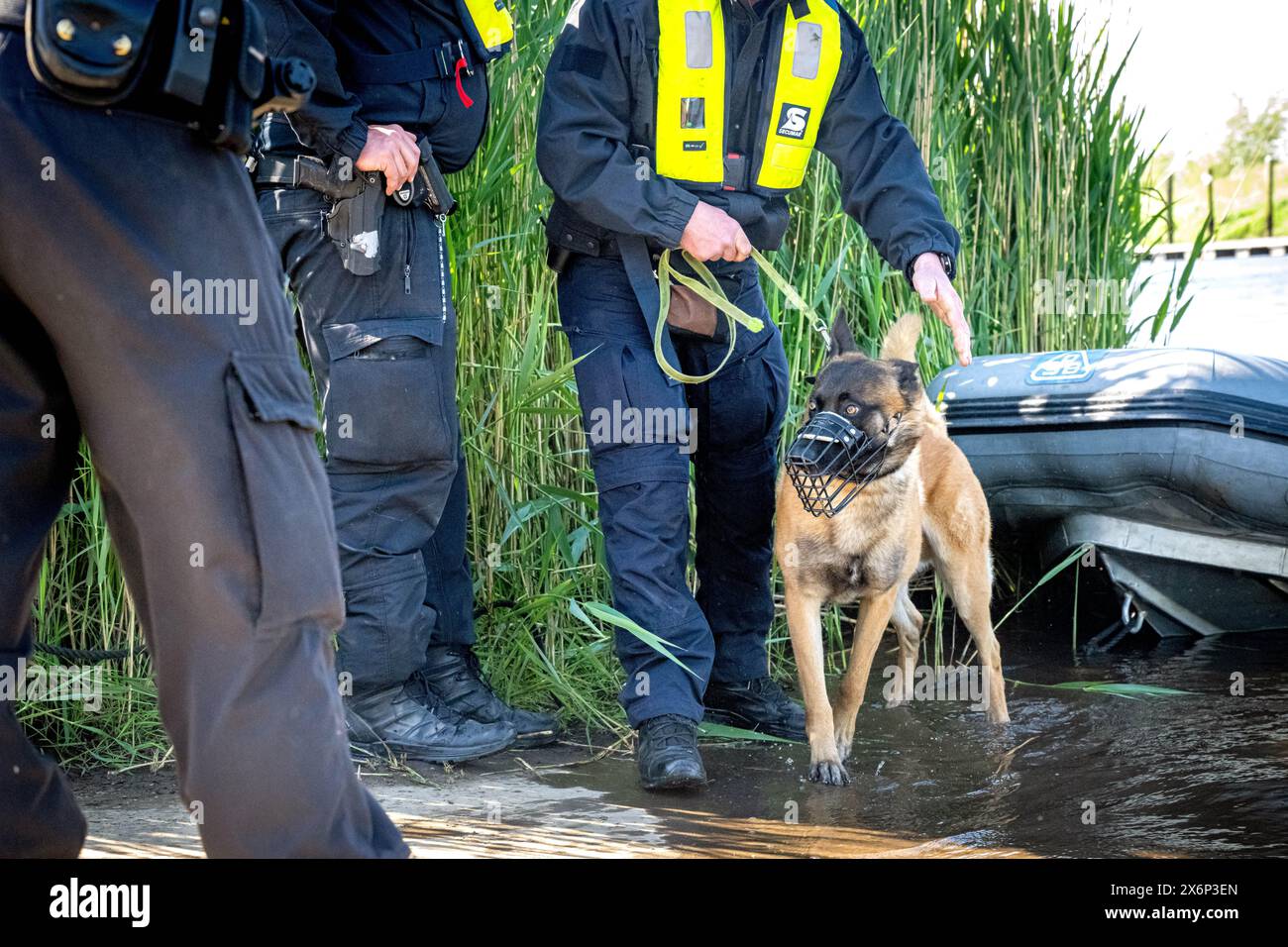 Kranenburg, Germany. 16th May, 2024. Police officers are searching for ...