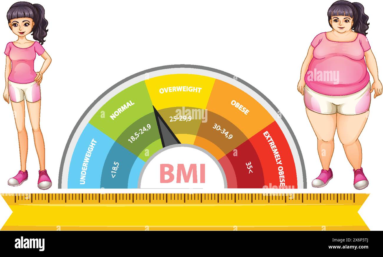 Illustration of BMI scale and body weight categories Stock Vector Image & Art - Alamy