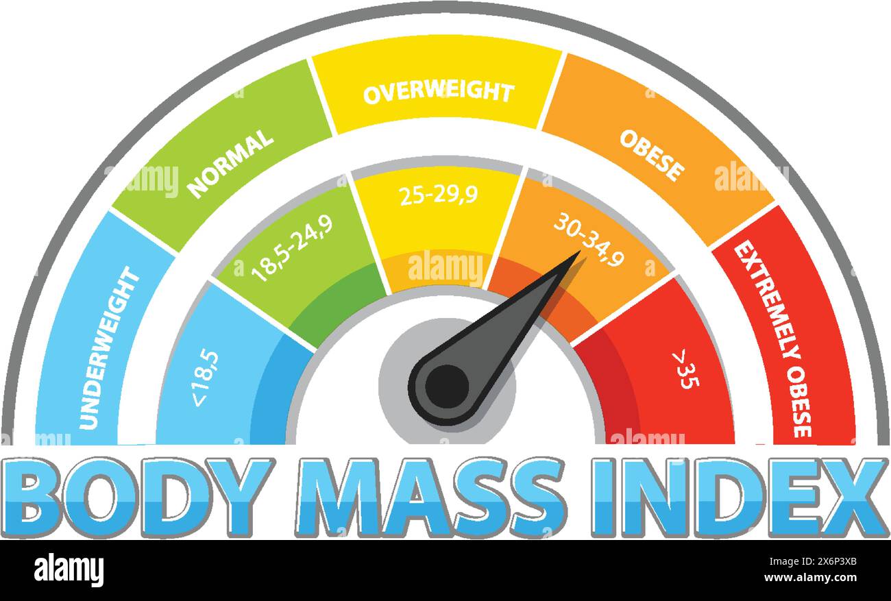 Colorful BMI gauge showing weight categories Stock Vector Image & Art ...
