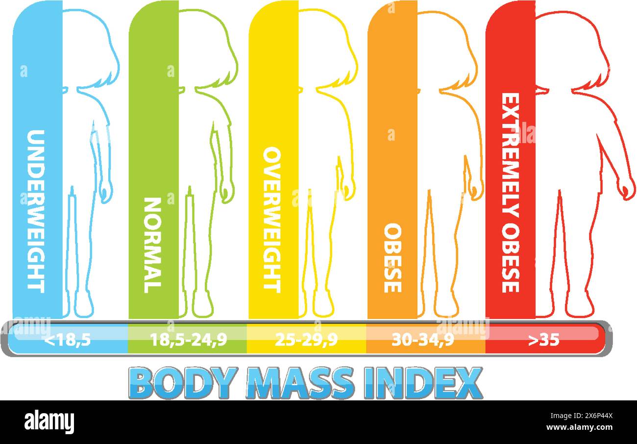Visual representation of BMI categories Stock Vector Image & Art - Alamy Visual representation of BMI categories Stock Vector Image & Art - Alamy