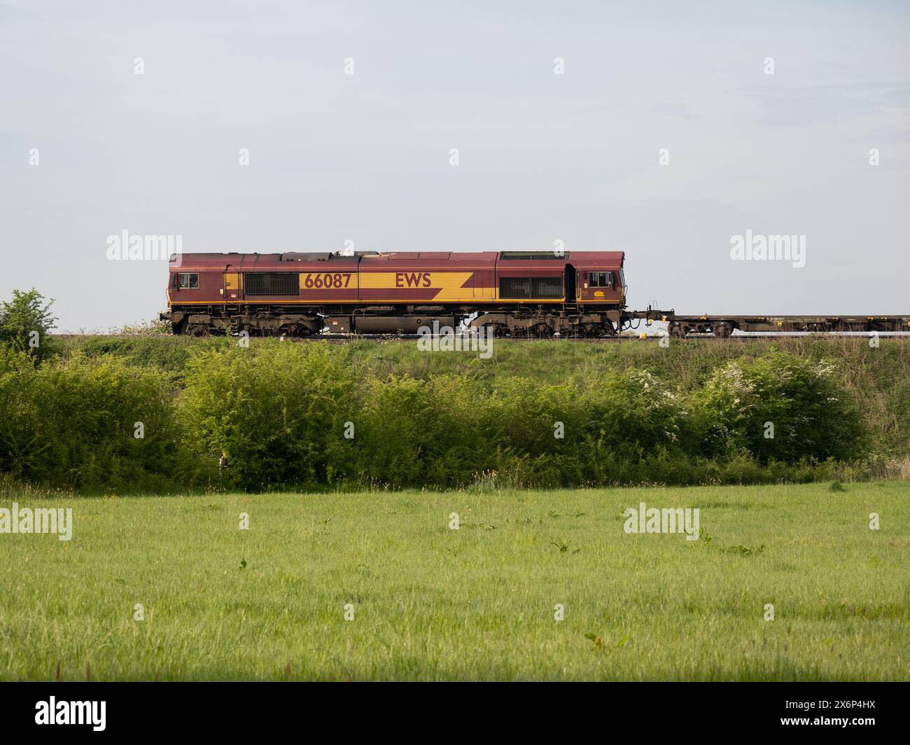 EWS class 66 diesel locomotive No. 66087 pulling a freightliner train ...