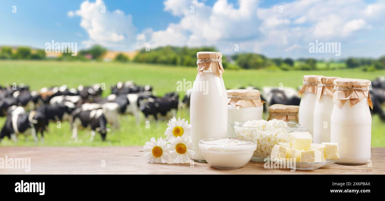 Dairy products. Bottle of milk, cottage cheese, yogurt, butter on a ...