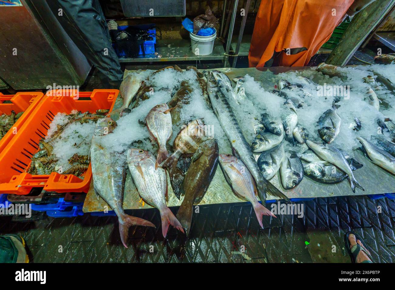 View of fish on sale in the fish market of the historic port of Jaffa ...