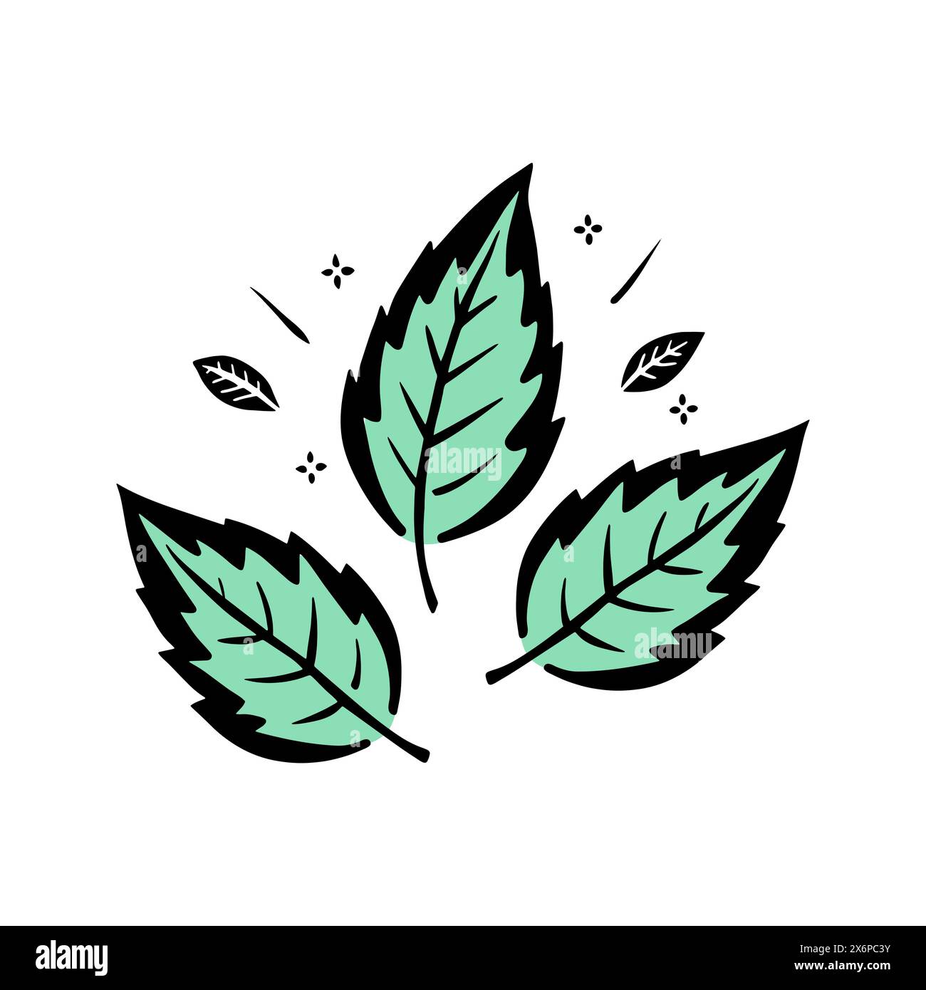 Fresh mint leaf Stock Vector Images - Alamy