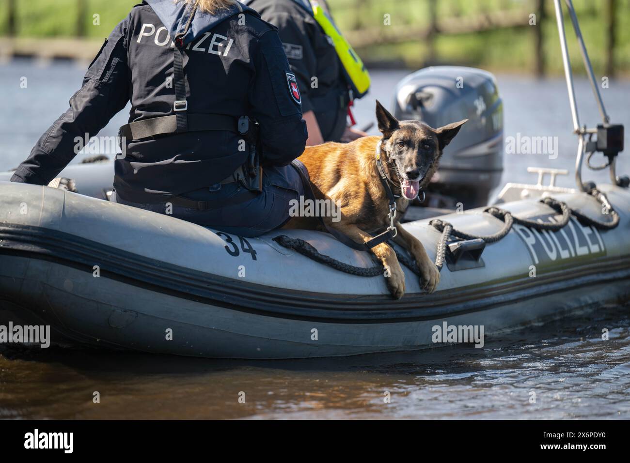 Kranenburg, Germany. 16th May, 2024. Police forces use sniffer dogs on ...