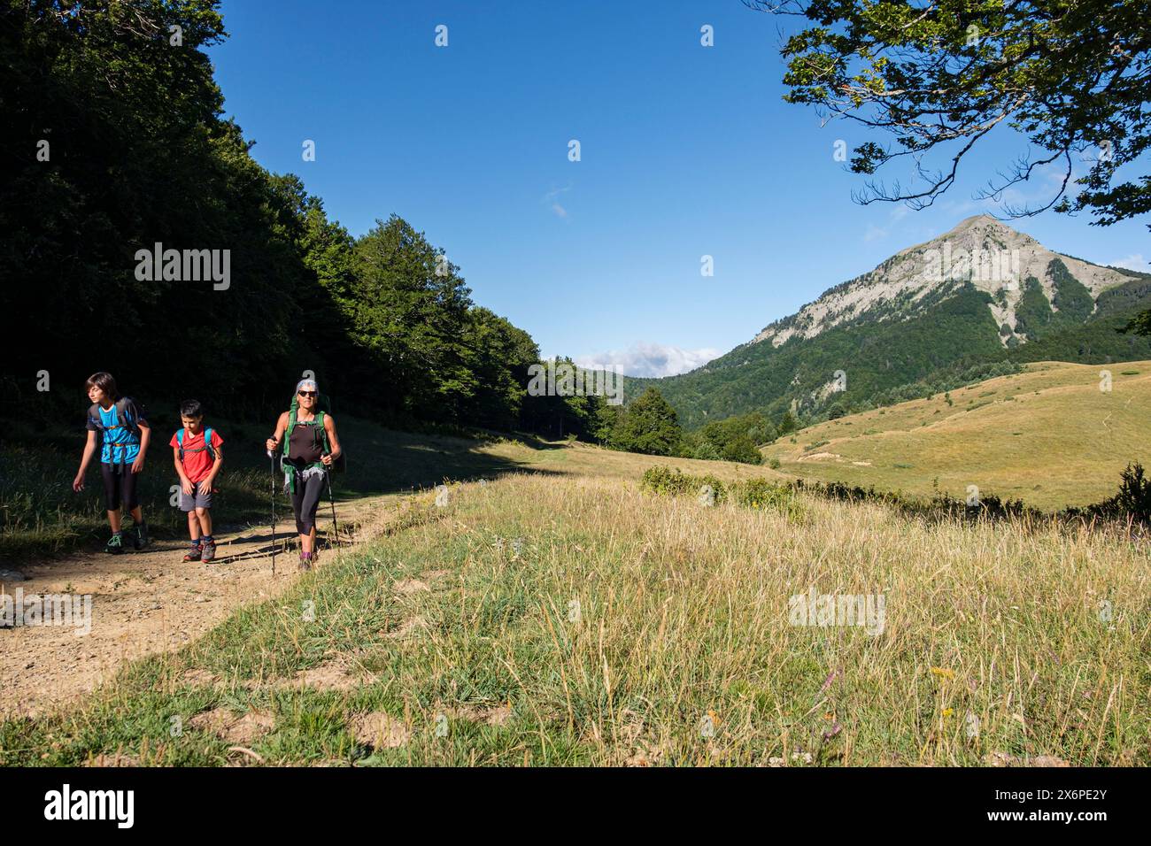 Route of the Swallows, Petrechema ravine, Western Pyrenees, Huesca ...