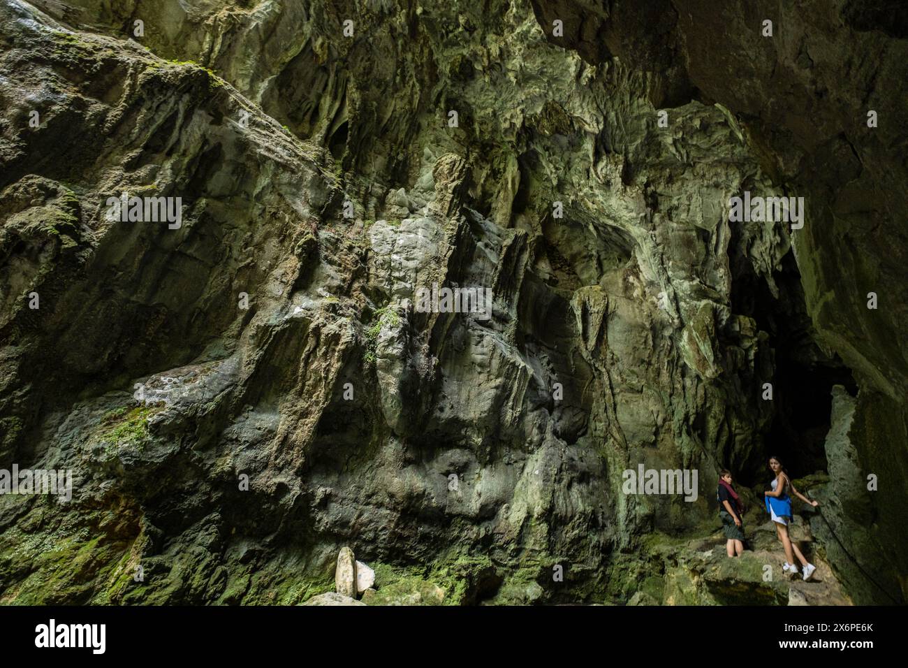 Ecosistemas naturales hi-res stock photography and images - Alamy